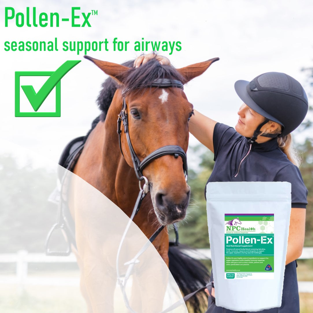 NPC Pollen-Ex – Horsey
